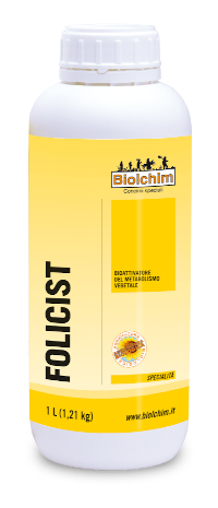 Nasiona profesjonalne Tomato - sklep z nasionami holenderskimi